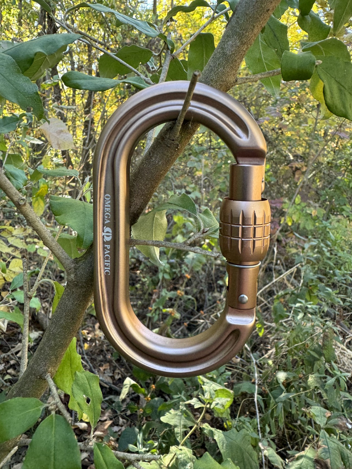 Omega Pacific Skrew lock Carabiner – Panther Platforms